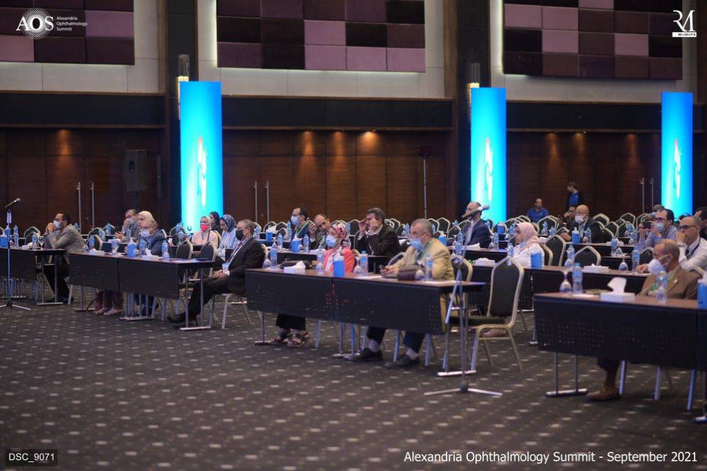 Alex-Summit – Alex-Summit